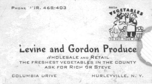 HURLEYVILLE, NEW YORK FROM 1950 - 1959